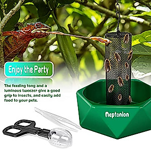 NEPTONION Hookable Chameleon Feeding Bowl, Professional Live Worm Organizer with Column for Prey to Climb and Move, Suitable for Lizard, Bearded Dragon, Iguana, Gecko, Toad, Frog