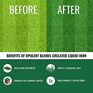 Opulent Blends Chelated Liquid Iron (32 fl. oz.) - Liquid Chelated Iron for Lawns, Trees, and Shrubs - 6.5% Iron - EDTA Free - Made in The U.S.A.