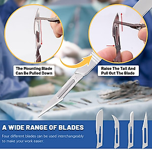 Glarks 42Pcs Surgical Grade Blade with Handle Kit, 40Pcs #10#11#12#15 Disposable Surgical Blade Sterile Scalpel Blade with 2Pcs #3 Scalpel Knife Handle for Biology Lab Anatomy, Practicing Cutting