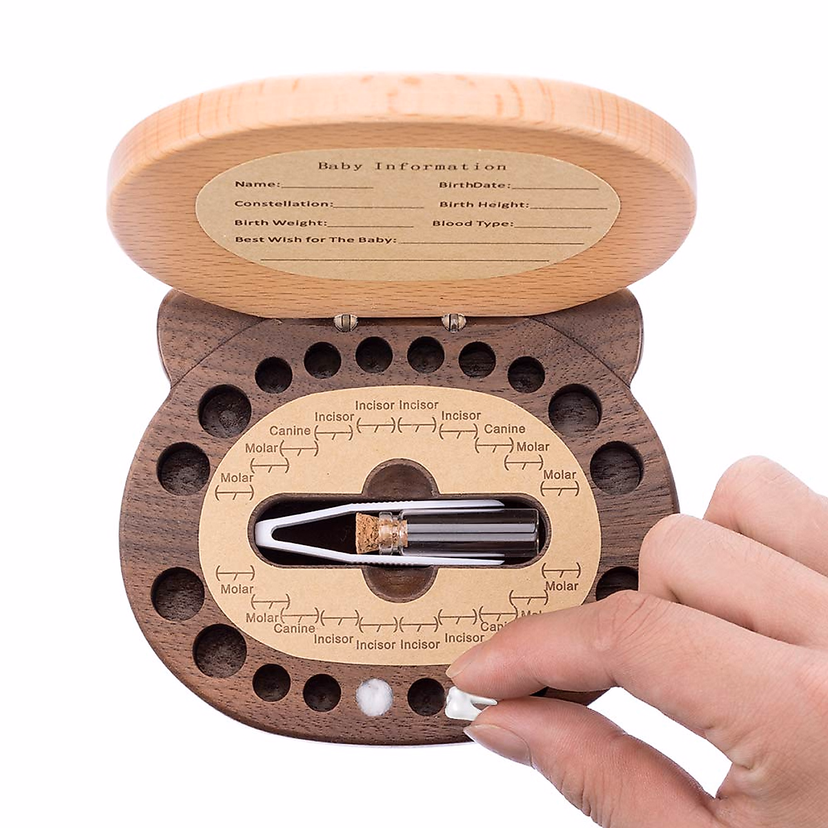 AhfuLife Baby Tooth Keepsake Fairy Box Holder with Lanugo Bottle, Wooden Panda Shape Keepsake Box for First Lost Teeth, Cute Tooth Storage Holder, Baby Shower Gifts for Newborn, Boys, Girls