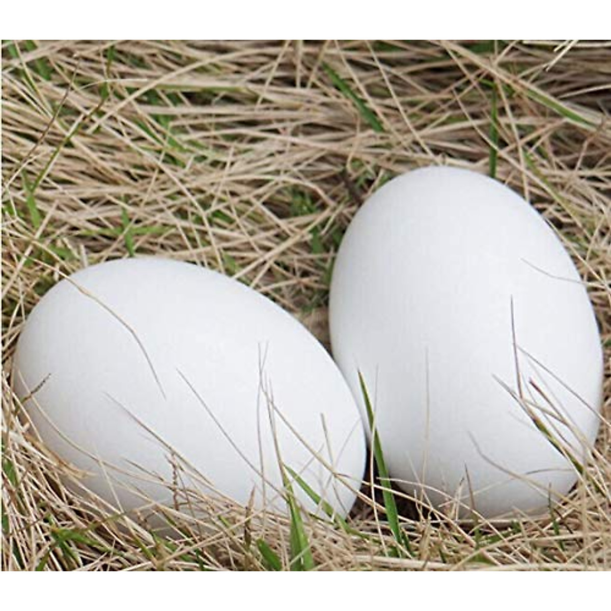 Folgtek 12pcs DIY Dummy Eggs Wooden Fake Eggs Simulation Chicken Duck Goose Egg DIY Easter Egg Toy for Hunting Decoys Decoration Egg