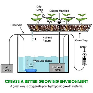 VIVOSUN Air Stones Disc 5 x 5 Inch with Shell for Aquarium, Fish Tank and Hydroponics Air Pump