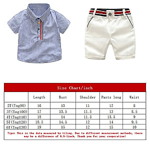 Top and Top Toddler Baby Boys Short Sleeve Button Down Blue Striped Shirts Short Pants Clothing Sets (110/4T)