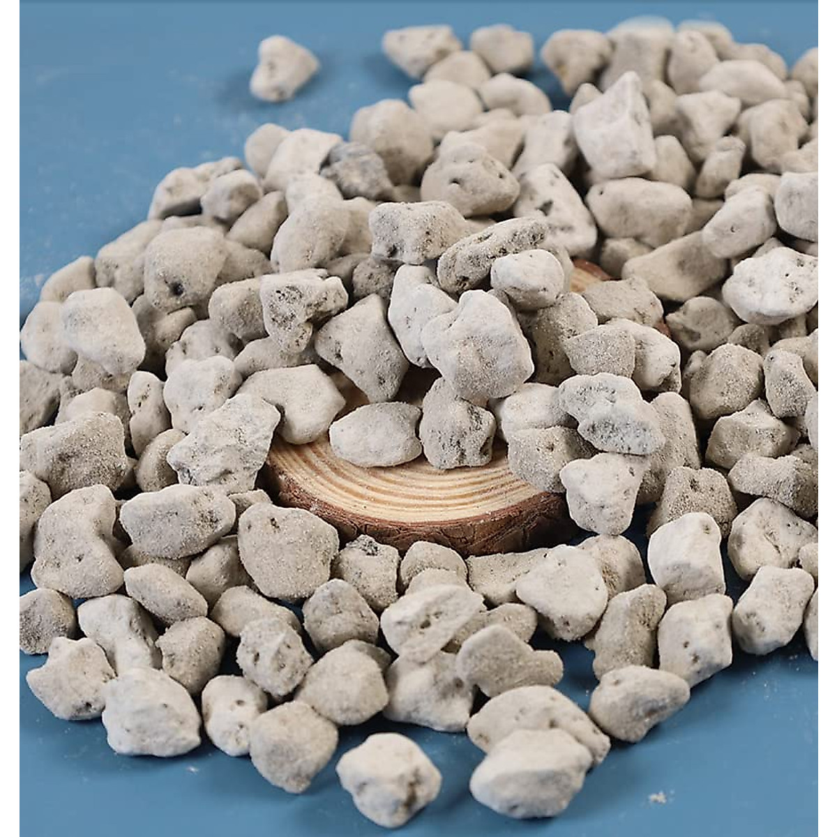 Horticultural Pumice for Plants by Doter 1 QT, Soil Amendment for Bonsai and Cactus Plants