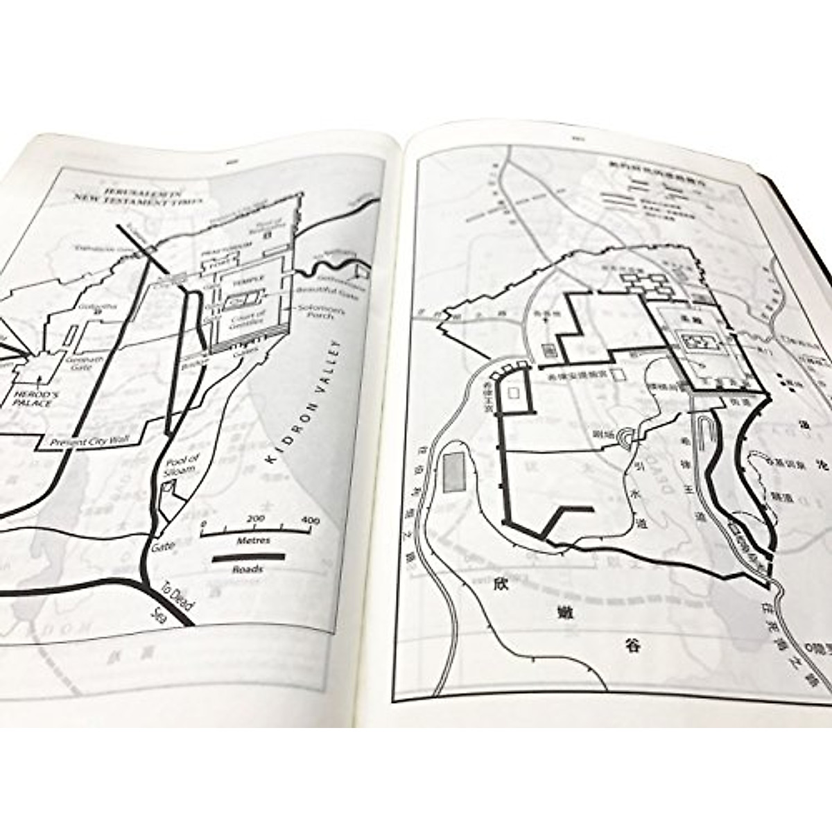 Bilingual English Chinese Holy Bible / English Standard Version - Revised Chinese Union Version, Simplified Chinese / ESV/RCUV / Blue Pearl Vinyl with Golden Edges, Maps, Large Chinese Characters