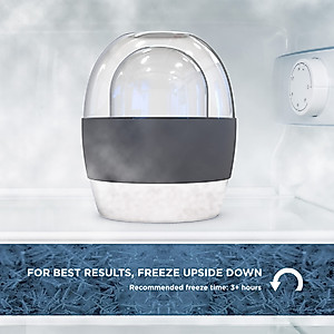 GALVANOX Freezer Chilled Stemless Wine Glass, Double Walled Insulated Frozen Chiller Cup (8.5oz) Fun Wine Lover Gift for Women/Her Rose All Day (Gift Boxed)