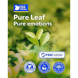 Lovare Black and Green Tea Bags Variety Pack - Made in Ukraine Tea Sampler - Individually Wrapped 90 Assorted Tea Bags - Gift Box For Tea Lovers (FEST TEA SET)