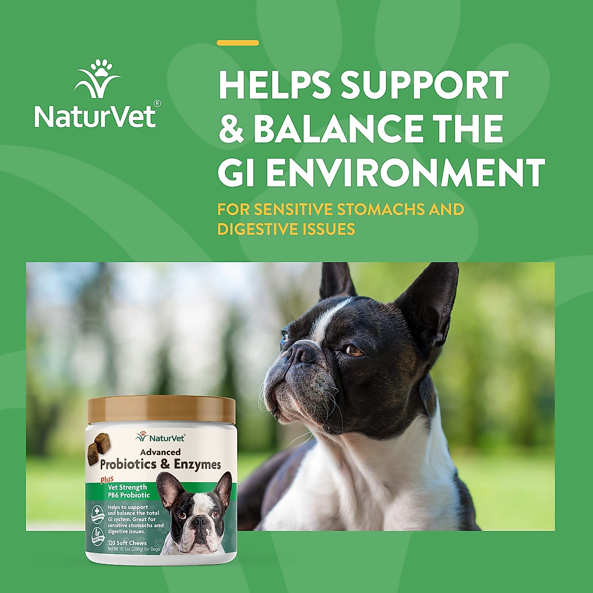 NaturVet Advanced Probiotics, Healthy Enzymes and PB6 Probiotic Supplement for Your Dogs Stomach, 120 Soft Chews & No Scoot for Dogs - 120 Soft Chews - Supports Healthy Anal Gland & Bowel Function