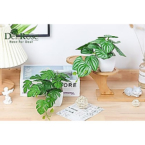 Der Rose 2 Packs Fake Plants Small Artificial Plants for Home Bathroom Office Desk Accessories Living Room Decor Indoor
