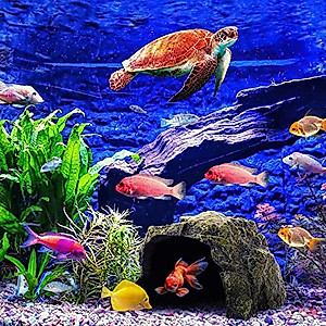 Reptile Rock Hide Cave - World 9.99 Mall Reptile Rock Hide Habitat Decoration|Natural,Non-Toxic, Made of Resin | Hideout for Small Lizards, Turtles, Reptiles, Amphibians,Fish
