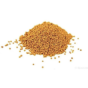 10Gram(800pcs) Seeds Japanese Horseradish Wasabi Seeds ワサビ, わさび, or 山葵 Vegetable Seeds Bonsai Plant DIY Home Garden and Yards Plants High Germination