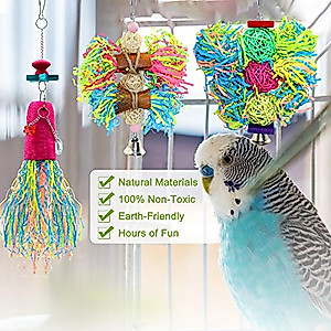 BWOGUE Bird Chewing Toys Parrot Shredder Toy Shred Foraging Hanging Cage Toy for Conure Cockatiel African Grey Amazon (3 Pack)