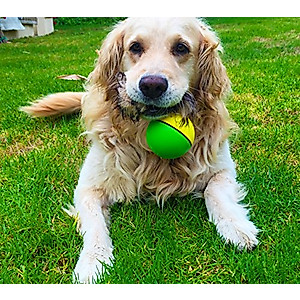 Weazel Ball Motorized Ball Pet Toy