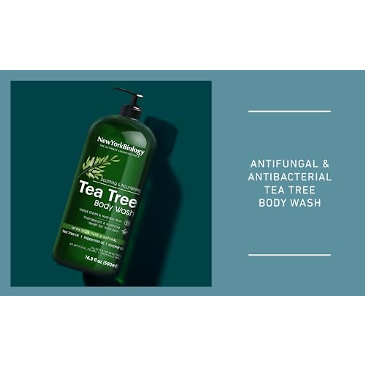 New York Biology Tea Tree Body Wash for Men and Women - Moisturizing Body Wash Helps Soothe Itchy Skin, Jock Itch, Athletes Foot, Nail Fungus, Eczema, Body Odor and Ringworm - 16.9 Fl Oz