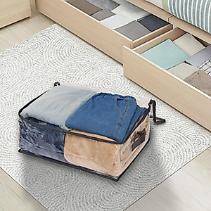 Fixwal 2pcs Clear Clothes Organizer Storage Bags, Foldable Bed Sheet Comforter Storage Bags PVC Organizers with Zipper for Sweaters, Bedding Sets, Closet(35l, 9.5 Gallons)