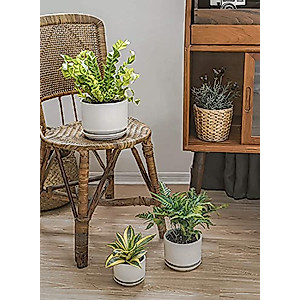 LE TAUCI Ceramic Plant Pots, 4.3+5.3+6.8 inch, Set of 3, Planters with Drainage Hole and Saucer, Indoor Flower Pot with Hole Mesh Pad, Gifts for Mom, White