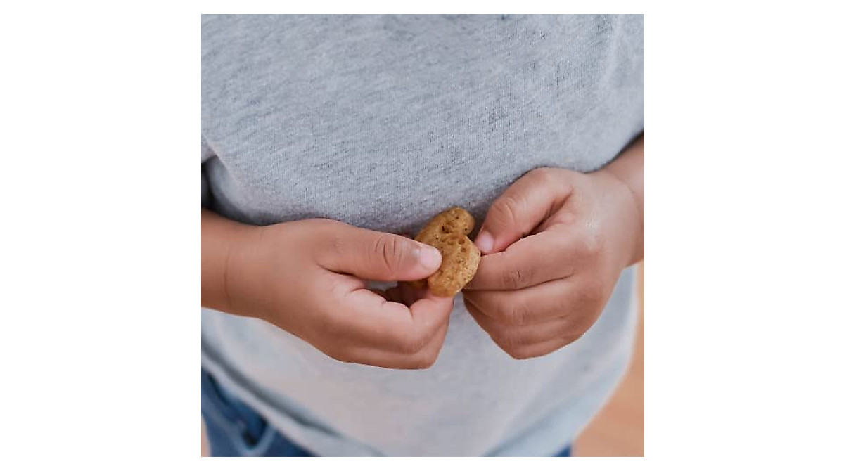 Beech-Nut Dino Biscuits - Healthy Toddler Snacks