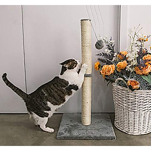 Qucey 32 Inches Cat Scratching Post, Cat Scratch Post Claw Scratcher with Sisal Rope, Scratching Post for Indoor Cats with Hanging Ball