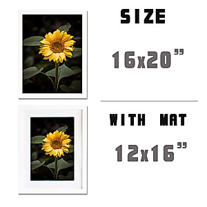KAOIKO 16x20 Frame White Solid Wood With Mat 12x16 Wall Picture Poster Photo frames…