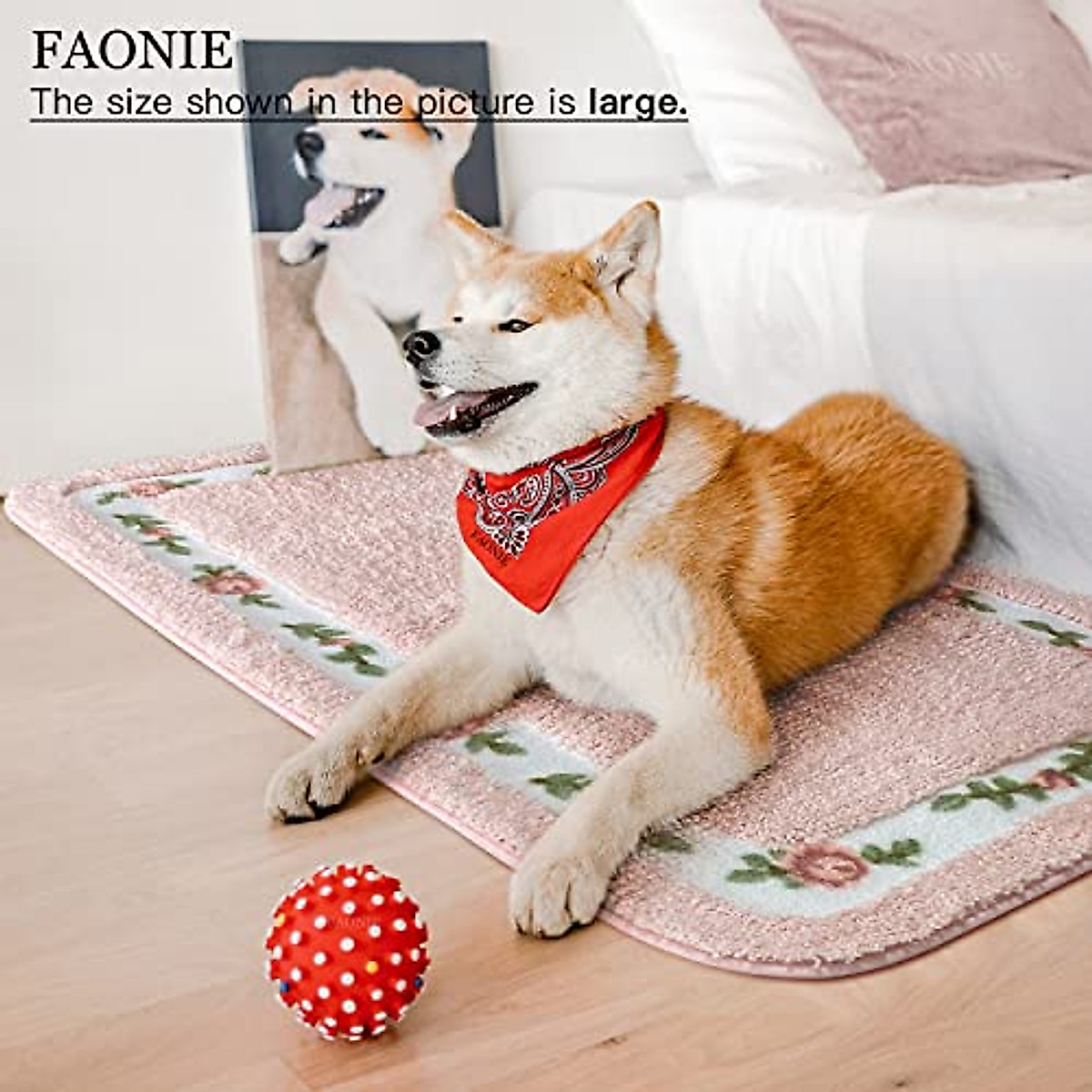 FAONIE Pretty Floral Rural Style Romantic Rose Flower Rug Shaggy Area Rugs Soft Non-Slip Doormat Floor Mat Bath Mat Bathroom Shower Rug Bedroom Living Room Carpet (Nice Pink, M)