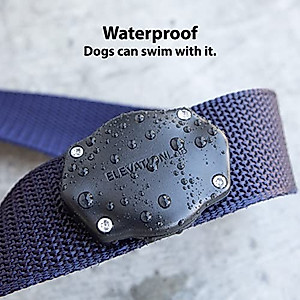 TagVault Pet: The Original AirTag Dog Collar Waterproof Mount, Ultra-Durable, Fits All Width Collars | Elevation Lab