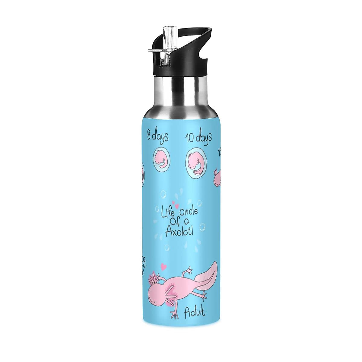 Glaphy Cute Funny Axolotl Blue Water Bottle with Straw Lid, BPA-Free, 32 oz Water Bottles Insulated Stainless Steel, for School, Office, Gym, Sports, Travel
