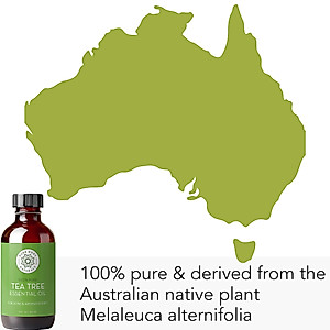 Pure Body Naturals Tea Tree Essential Oil, 4 Fl Oz with Dropper - Undiluted Therapeutic Grade for Your Face, Skin, Hair and Diffuser - 100% Pure Melaleuca Oil for Acne, Toenails