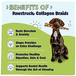 Pawstruck Natural Large 10-13” Beef Collagen Braids for Dogs - Healthy Long Lasting Alternative to Traditional Rawhide & Bully Sticks w/Chondroitin & Glucosamine - 3 Count - Packaging May Vary