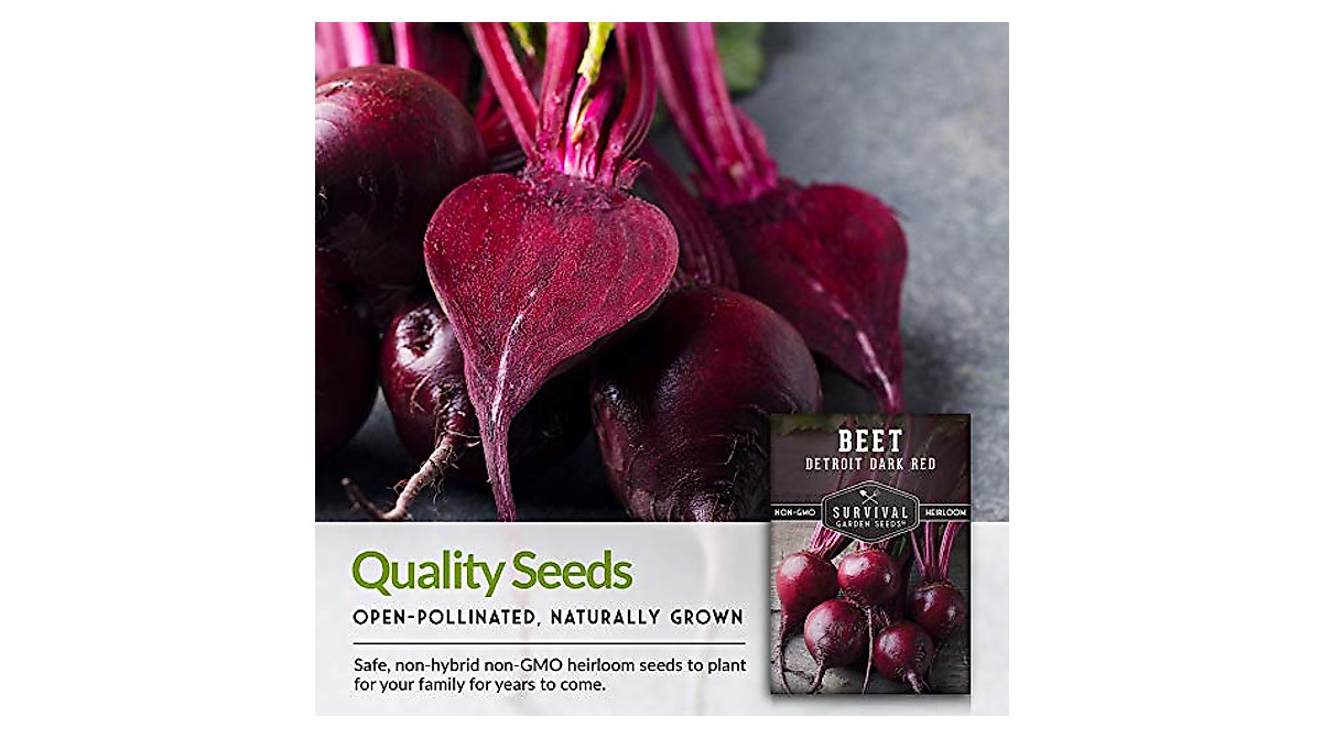 Grow Delicious Detroit Dark Red Heirloom Beet Seeds Today