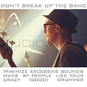 Audiomate High-Fidelity Earplugs with Metal Keychain Carry Case and 2 Interchangeable Earbuds Comfortable Soft Silicone HiFi Noise Attenuating Ear Plugs for Musicians, Concert, Sleeping & More