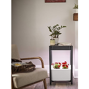 Miracle-Gro Twelve Indoor Growing System, Side Table with LED Grow Light for Year Round Gardening, Planter For Leafy Greens, Herbs & Flowers