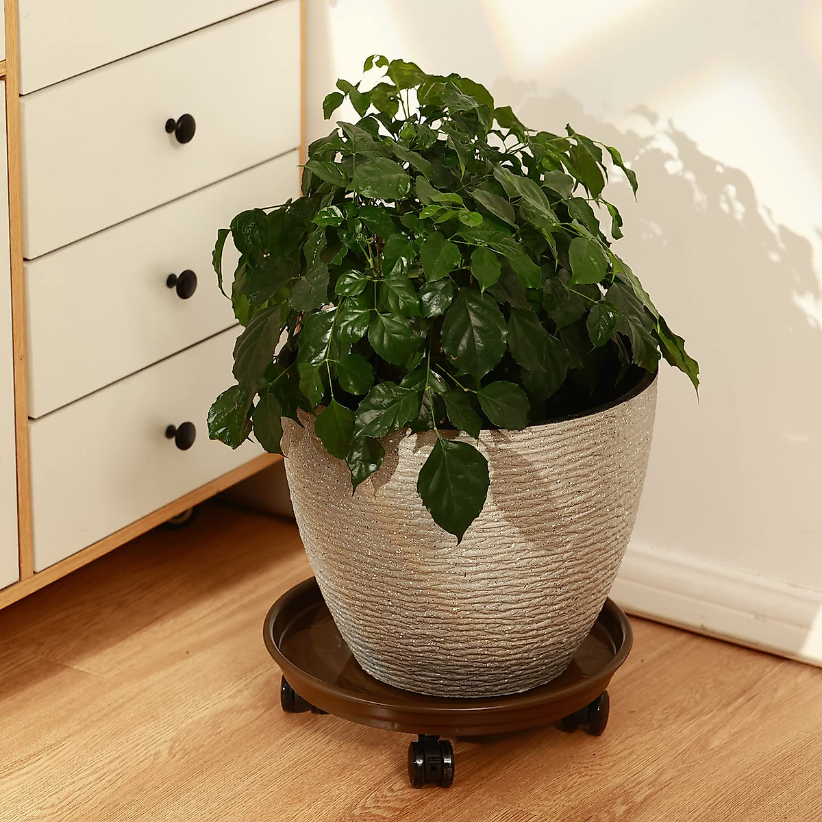 8 Packs Large Plant Caddy with PU Wheels 12" Rolling Plant Stands Heavy-duty Plastic Plant Roller Base Pot Movers Plant Saucers on Wheels Indoor Outdoor Plant Dolly with Casters Planter Tray Coaster