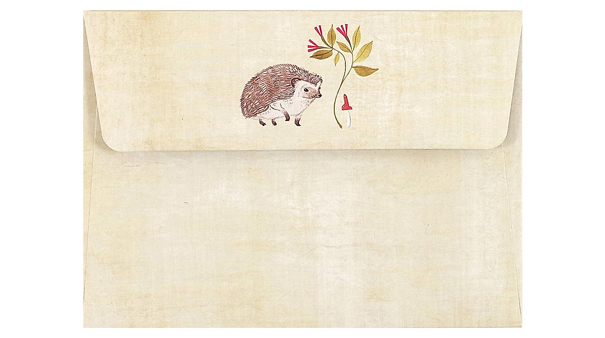 Hedgehog Note Cards - Adorable Stationery Set