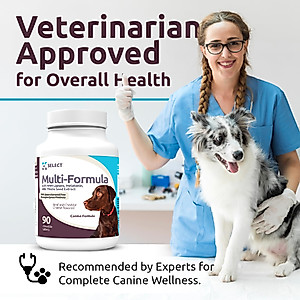K9 Select Multi-Formula Dog Vitamins for Large Dogs - 30mg HMR Lignans, 3mg Melatonin, 60mg Milk Thistle - Helps Heart, Liver, Digestion, Skin & Coat Health, Dog Multivitamin, 90 Tablets, Beef Flavor