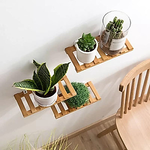 PDGJG Living Room Decoration Frame Wall Hanging Flower Stand Bedroom Wall Partition Potted Plant Shelf