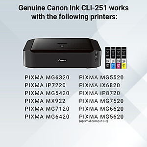 Canon CLI-251 BK/CMY 4PK Compatible to MG6320, iP7220, MG5420, MX922, MG7120, MG6420, MG5520, iX6820, iP8720, MG7520, MG6620, MG5620