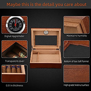 TISFA Cigar Humidor, Glass Top Cigar Box with Hygrometer Humidifier and Divider, Desktop Cedar Wood Storage Case Holds 20-30 Cigars