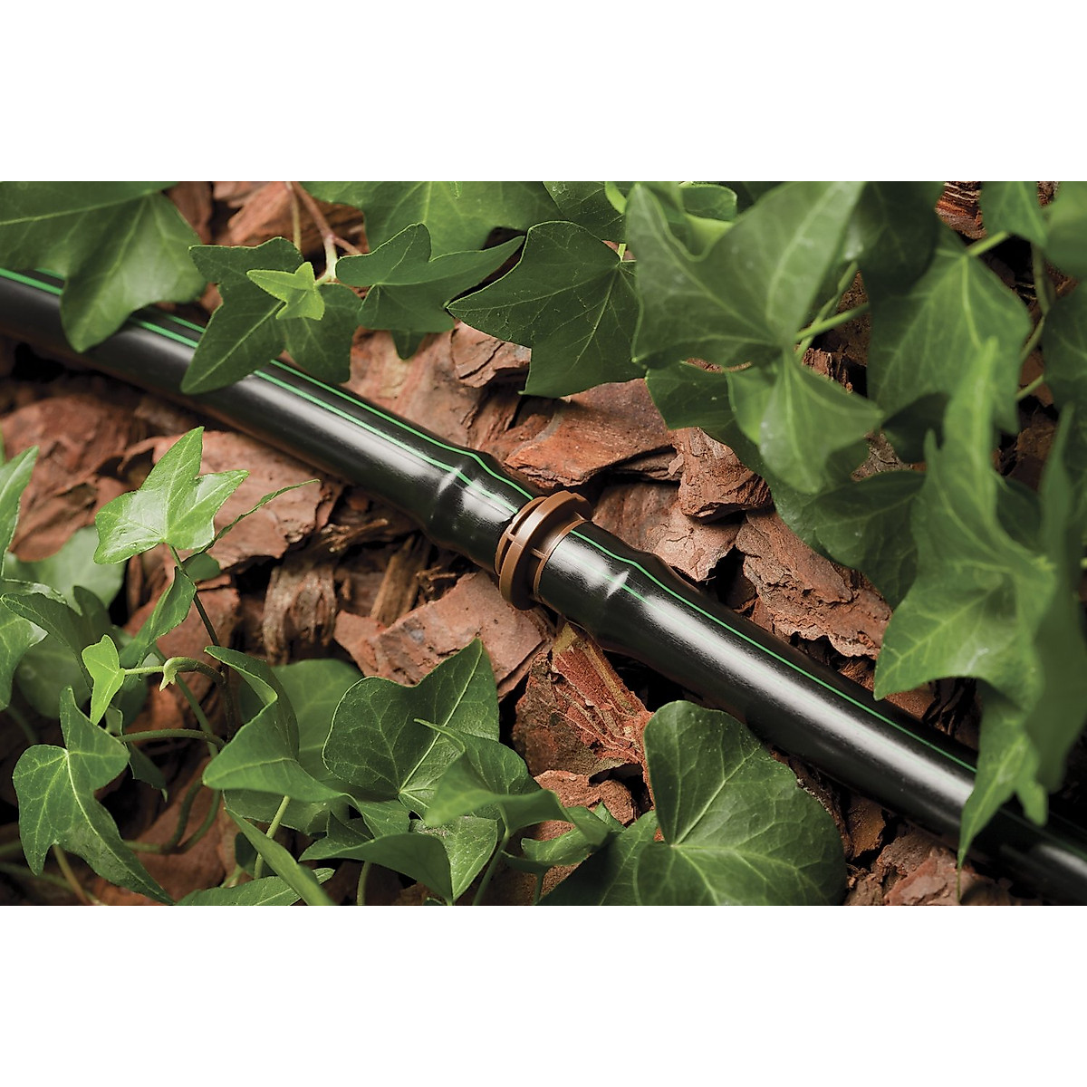 Rain Bird T63-050 Drip Irrigation 1/2" (0.634" OD) Blank Distribution Tubing, 50' Roll, Black