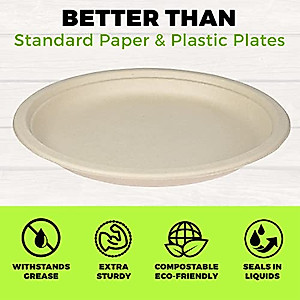 NYHI Heavy Duty Plates 10 Inch Disposable Plates For Adults Kids Brown Eco Friendly Sugarcane Paper Plates Are Cut Leak Resistant 125 Pack 3 compartment