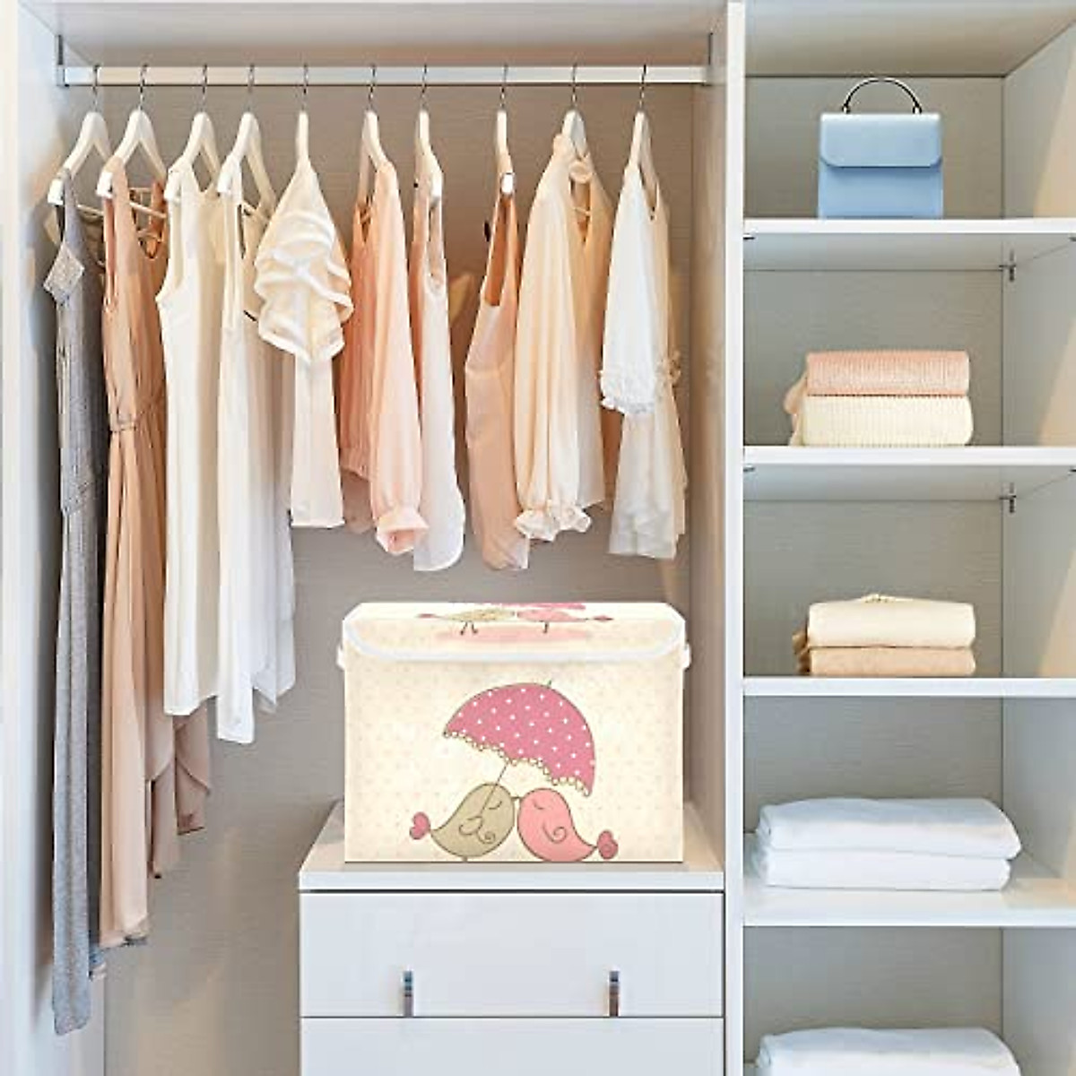 WELLDAY Birds Storage Baskets Foldable Cube Storage Bin with Lids and Handle, 16.5x12.6x11.8 In Storage Boxes for Toys, Shelves, Closet, Bedroom, Nursery