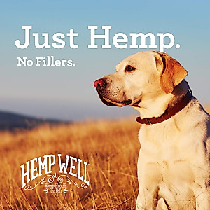 Hemp Well Hemp Thrive Oil for Dogs and Cats – 16 Ounces of Organic Hemp Oil Supplement for Dog and Cat Health, Calming, Joint Support, ImmuneHealth, and Itchy Skin Relief