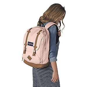 JanSport Cortlandt Laptop Backpack, Misty Rose, 15” Laptop Sleeve-Synthetic Leather Shoulder Computer Bag with Large Compartment, Padded Straps-Book Rucksack for Men, Women