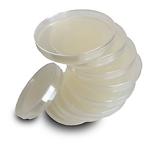 Nutrient Agar Plates by Evviva Sciences, Prepoured Nutrient Agar Petri Dishes for Science Fair Projects & Microbiology Experiment, Helps Microorganisms Thrive - Swabs Not Included