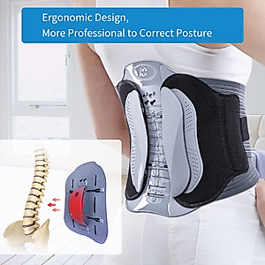ALPHAY Back Brace - Immediate Relief from Back Pain, Herniated Disc, Sciatica, Scoliosis - Breathable Lumbar Belt with Lumbar Pad- Adjustable Support Straps- Lower Back Belt-L