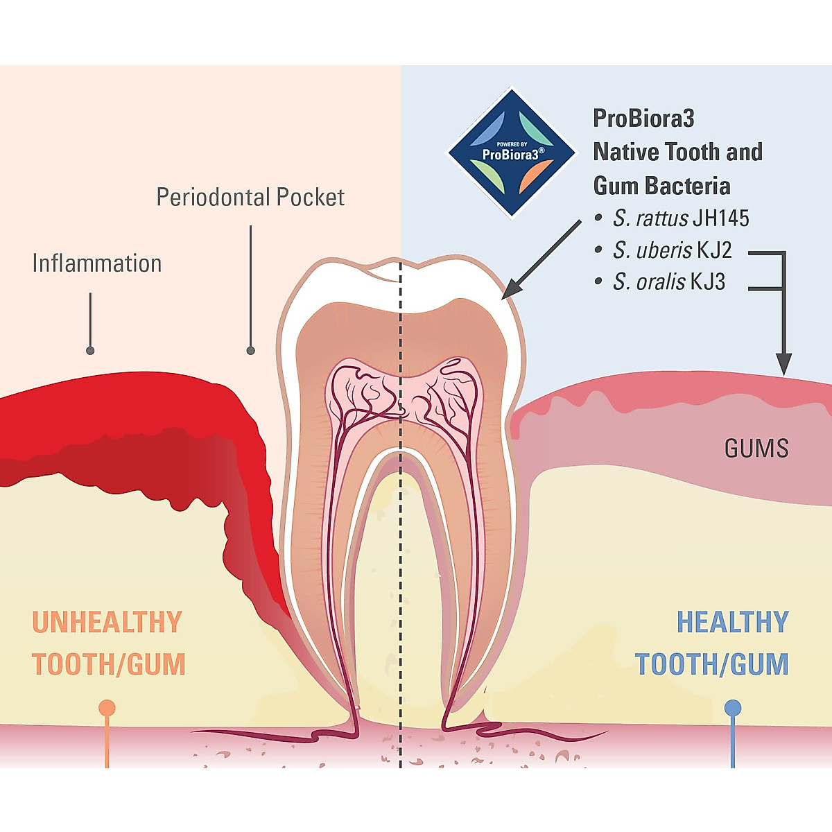 ProBiora Oral-Care Chewable Probiotic Tablets | Probiotic Supplement for Women & Men | Healthier Teeth & Gums | Fresher Breath | Whiter Teeth | Better Overall Health | 30 Count | Orange