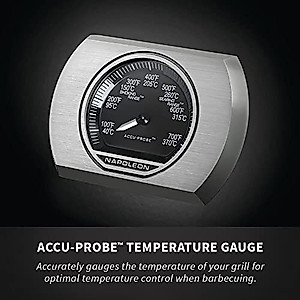 Napoleon Propane Gas Grill