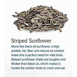 Backyard Seeds Striped Sunflower Bird Seed (35 Pounds)