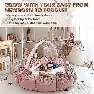 5-in-1 Thick Baby Gym & Ball Pit, Plush Play Gym, Tummy Time Mat, Dog Bed, Cat Bed, Pet Mat, Activity Gym & Play Mat from Baby to Toddler, Pet Cushion, Convertible Stage-Based Developmental, Pink