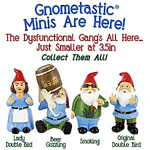 Gnometastic Mini Gnomes - Beer Drinking Gnome, 4in - Small, Drunk Garden Gnome Statue for Fairy Garden, Planters, Indoor, Outdoor Decoration