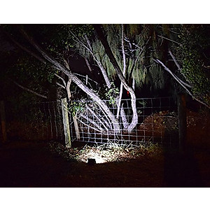 Bizlander 30 LED Solar Light Outdoor Sport Yard, Sidewalk Fence, Path, Pool Pond Lawn Garden